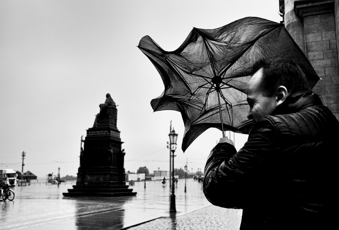 Wind Analysis: The Guide that Will Blow You Away | SimScale